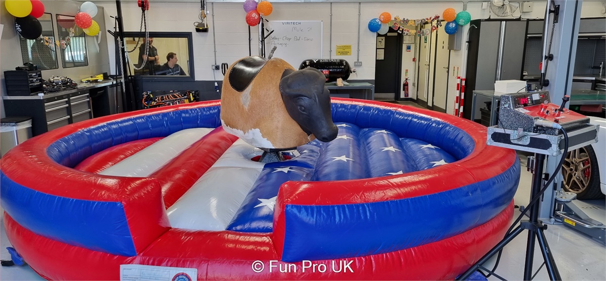 Rodeo Bull Hire, How Much To Hire A Rodeo Bull Near Me, UK